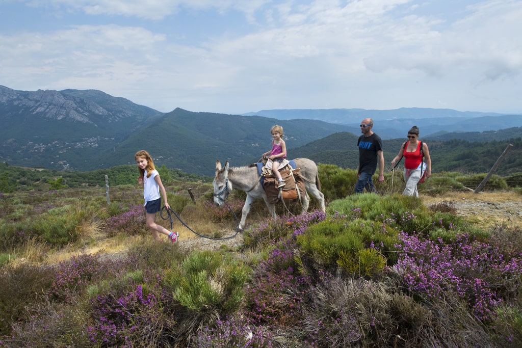 Chemin de Stevenson GR 70 - Des Cévennes au Mont Lozère, Office du Tourisme