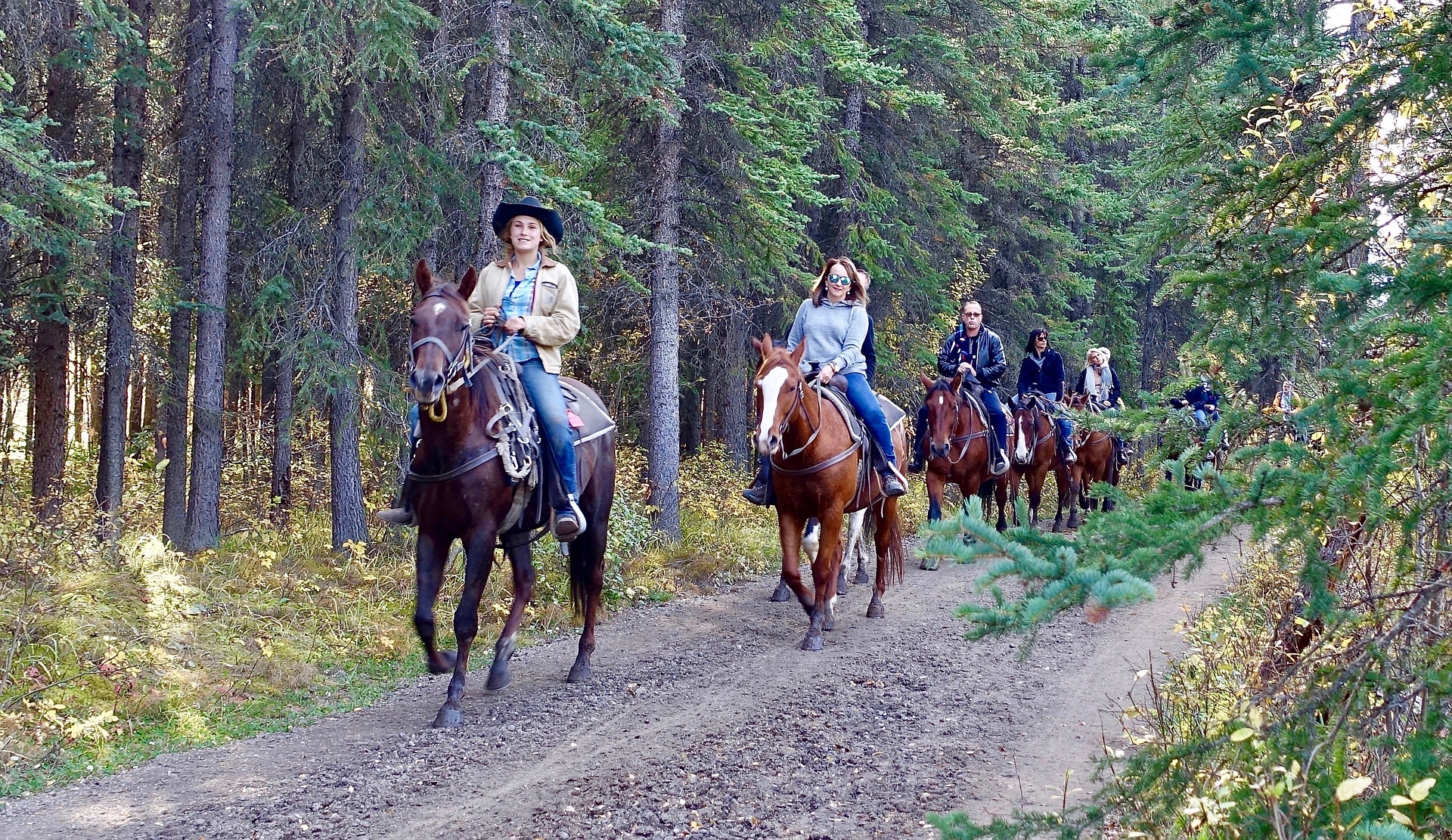 Randonnées à cheval - Des Cévennes au Mont Lozère, Office du Tourisme
