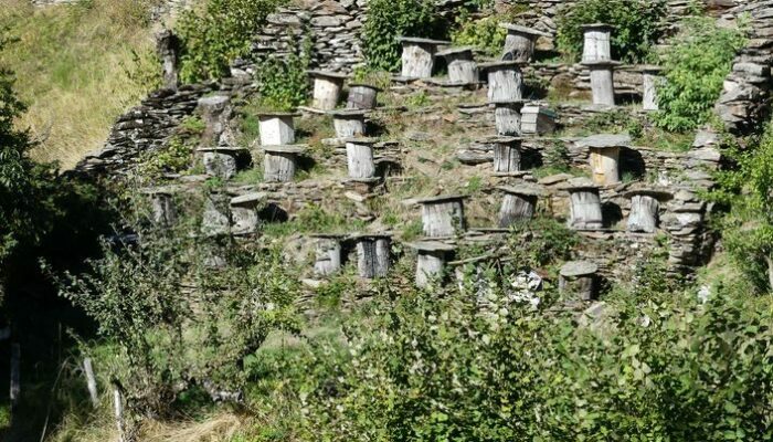 Ventalon - Des Cévennes au Mont Lozère, Office du Tourisme